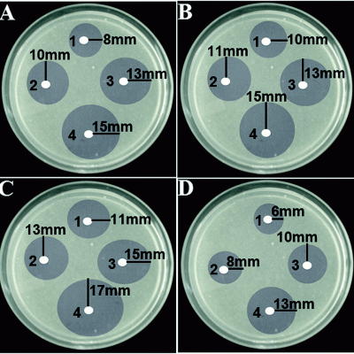 Services - Veterinary Dermatology of New England